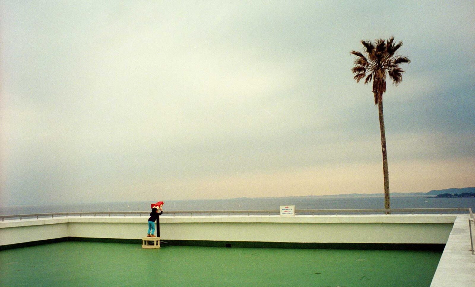 Split Hairs de Kyle Alden Marten – Réseau Art Actuel