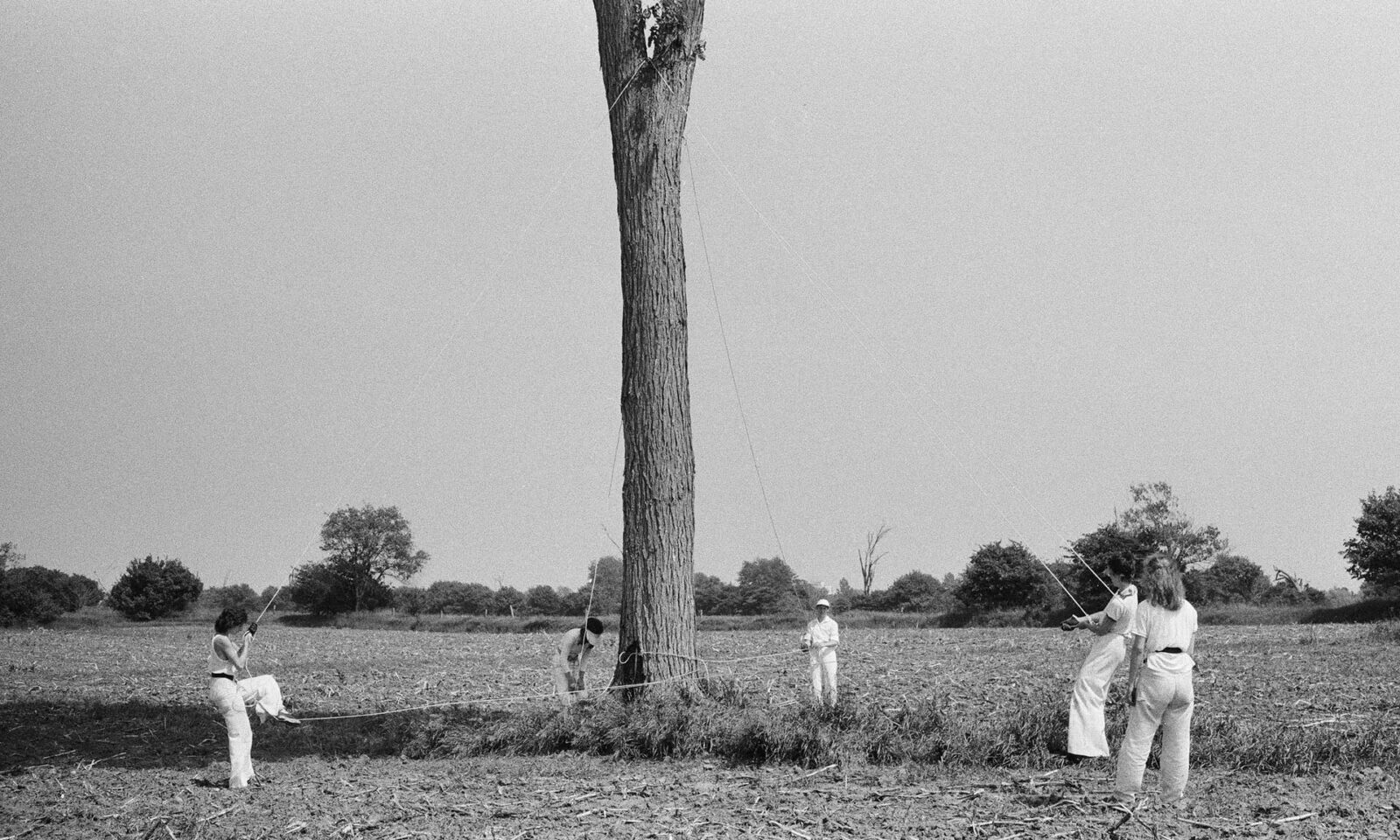 Split Hairs de Kyle Alden Marten – Réseau Art Actuel